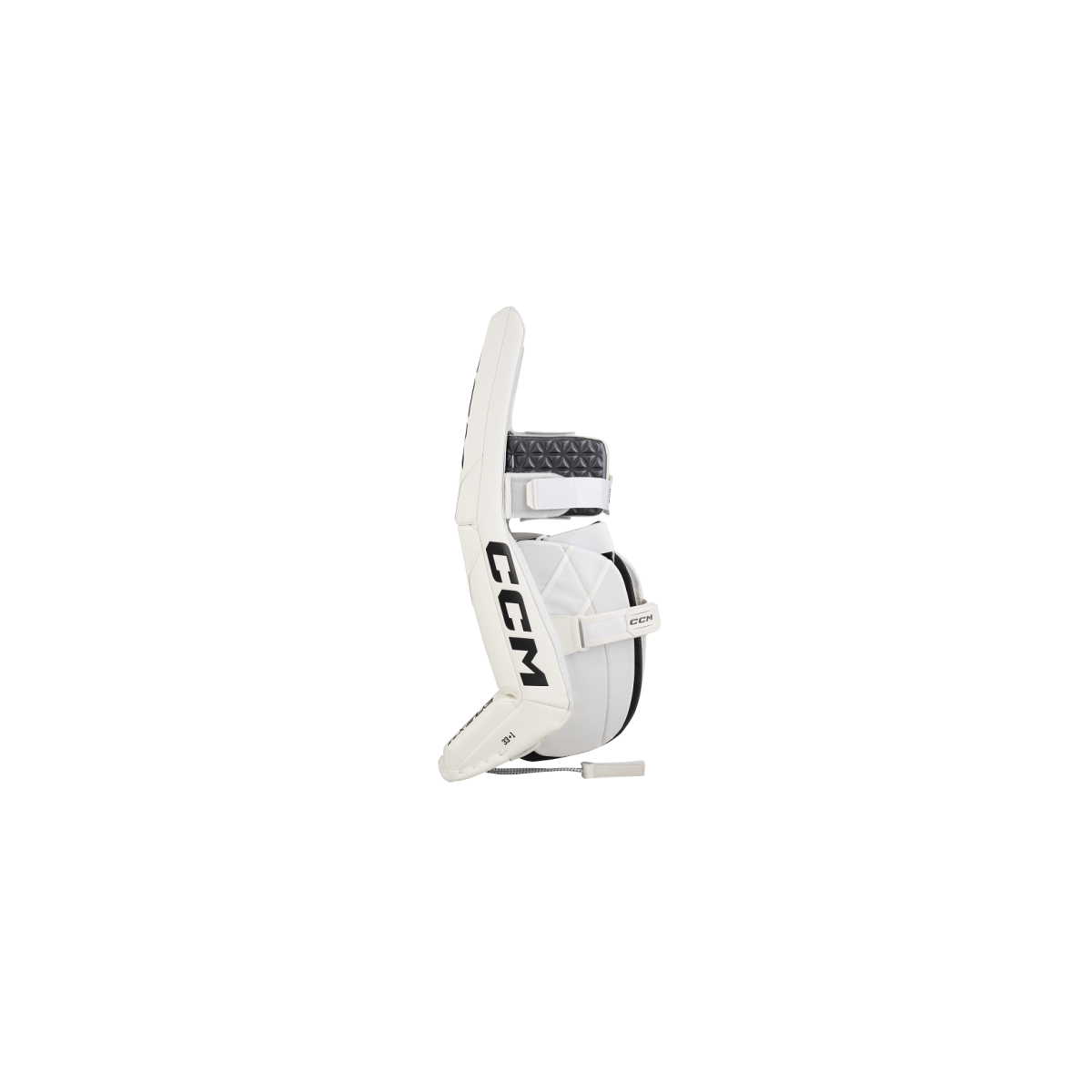 Schienen CCM E-Flex 6.9 Interm., 599,00